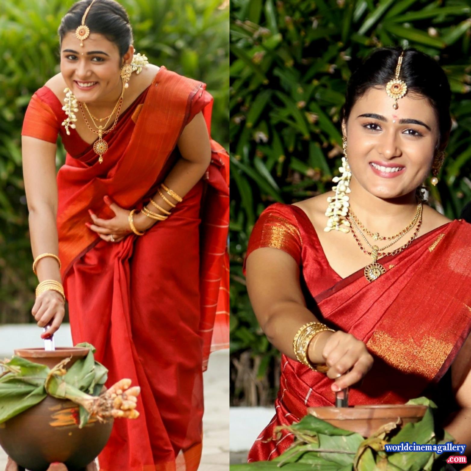 Shalini Actress Sari