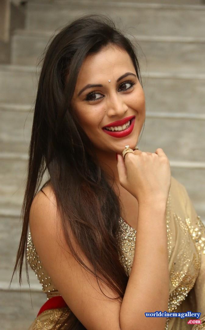 Simran Kapoor Hot Saree Stills