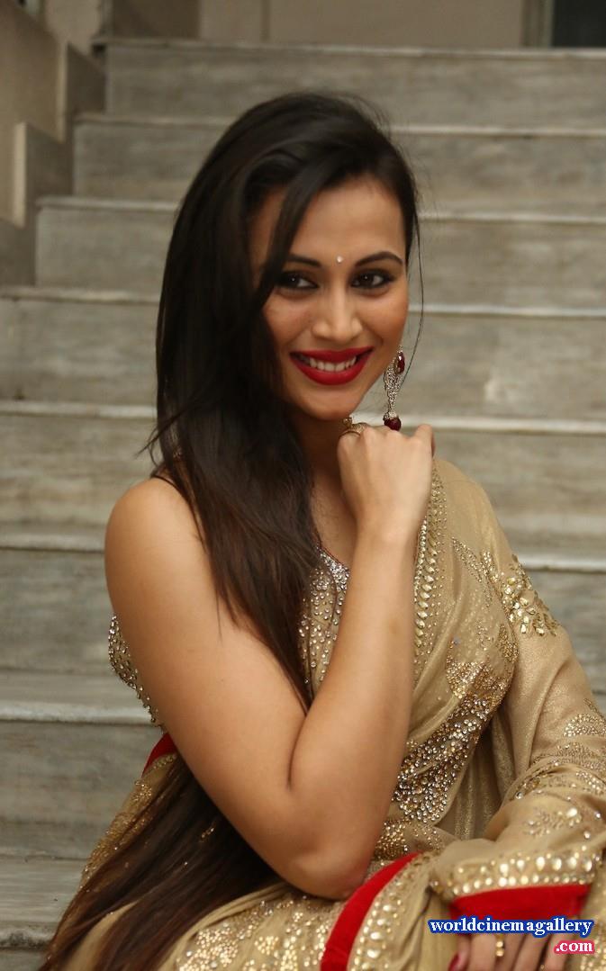 Simran Kapoor Hot Saree Stills
