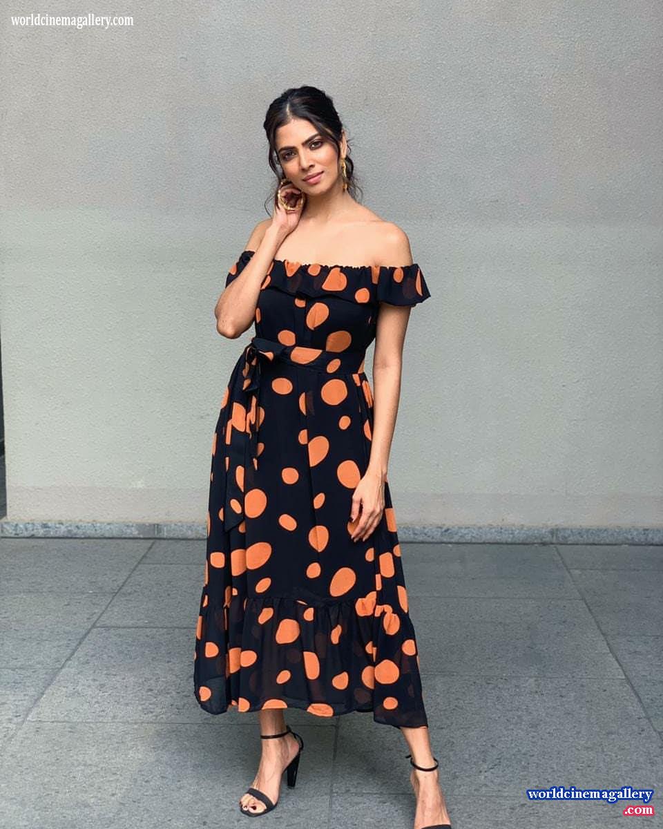 Malavika Mohanan Master Actress stills